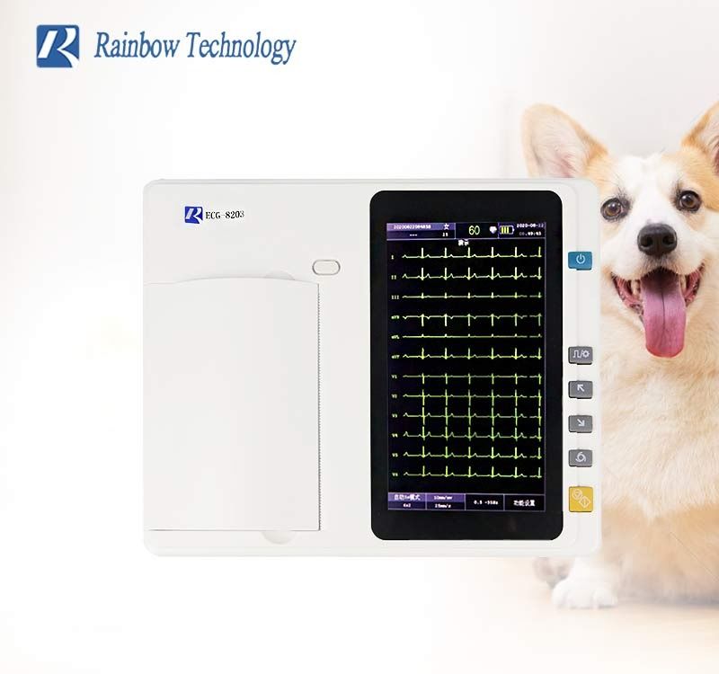 ECG Monitoring Device with Digital/Analog Recording Wireless Connectivity